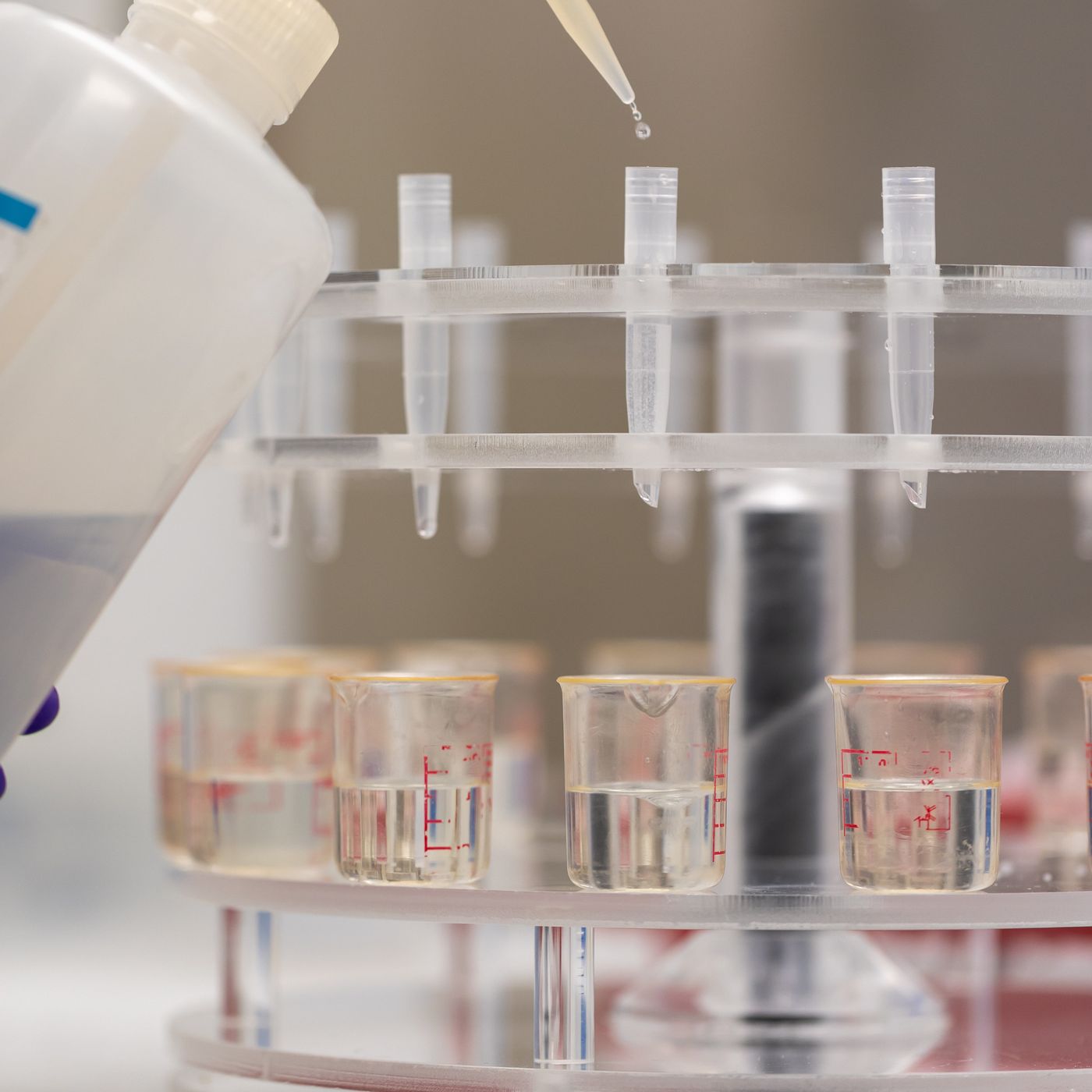 IsoArcH | The world's largest isotope database